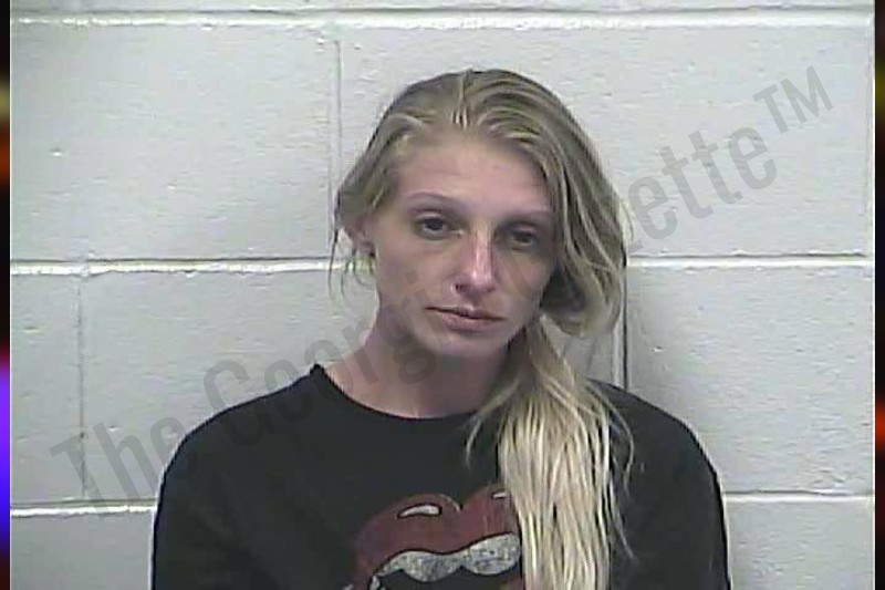 Emily Smith — Dawson County Jail Bookings