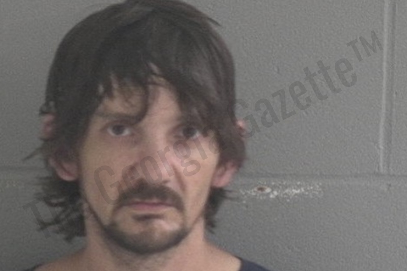 Logan Smith — Brantley County Jail Bookings