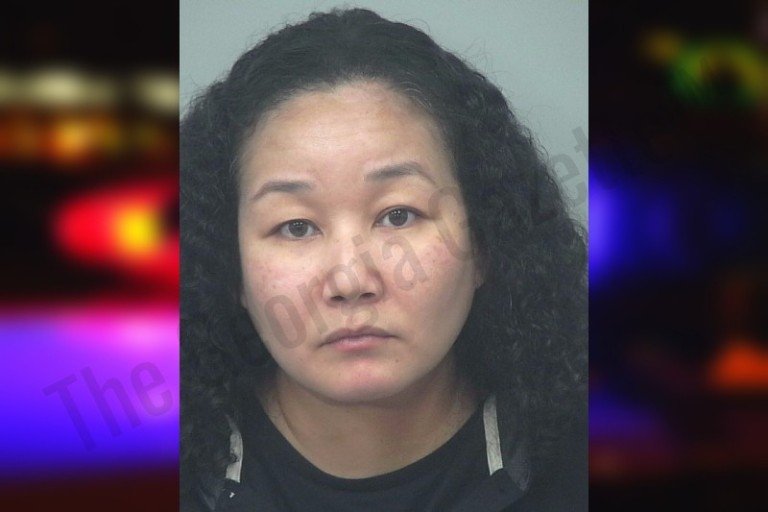 Kimberly Stokes — Gwinnett County Jail Bookings