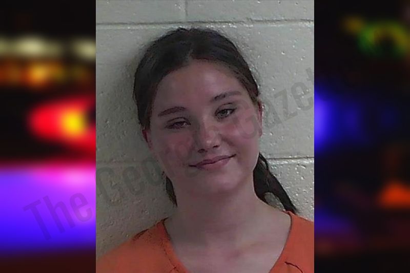 Amanda Tallent — Fannin County Jail Bookings