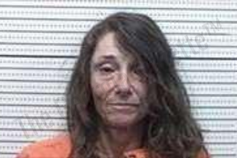 Rachel Tidwell — Tattnall County Jail Bookings