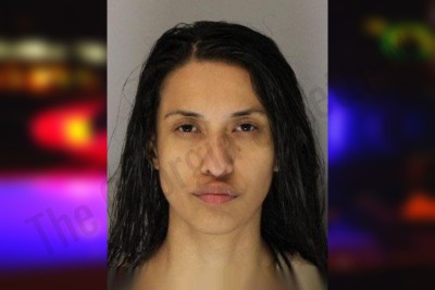 Laura Vences-Herrera — Hall County Jail Bookings