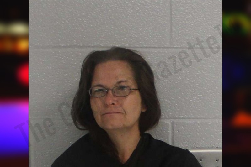 Melissa Warren — Carroll County Jail Bookings