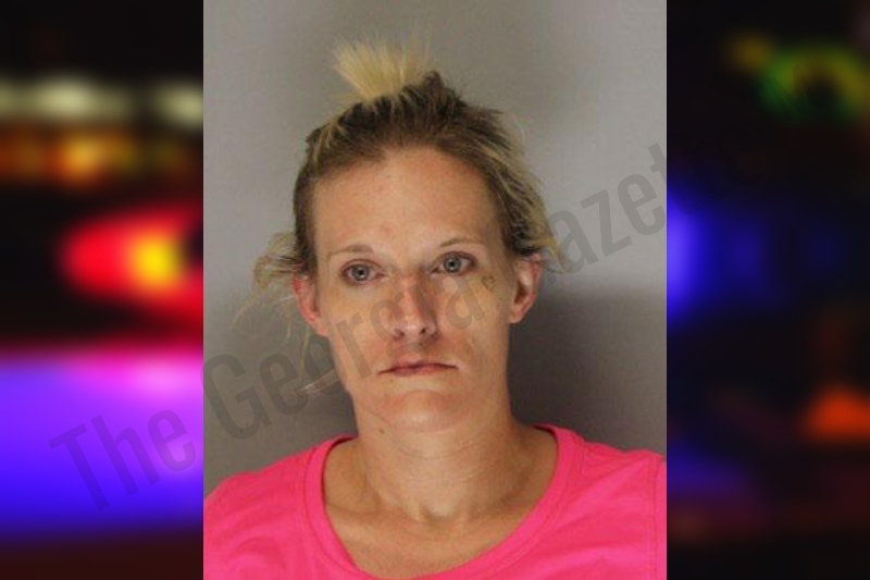 Emily Watkins — Hall County Jail Bookings