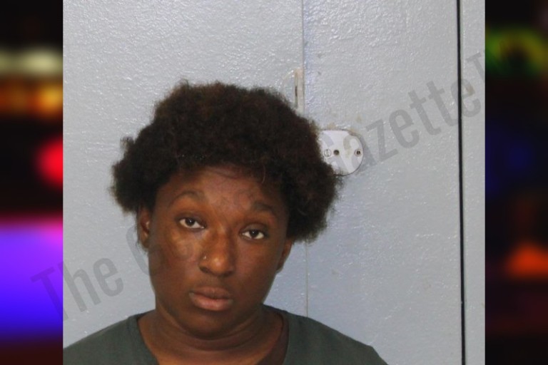 McIntosh County Jail Bookings – Page 2 – The Georgia Gazette