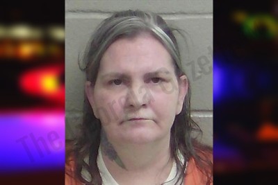 Janine Waters — Wayne County Jail Bookings