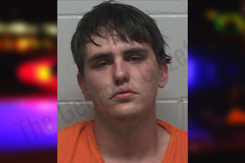 Braden Watson — Laurens County Jail Bookings