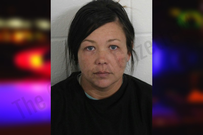 Holly Wigley — Floyd County Jail Bookings