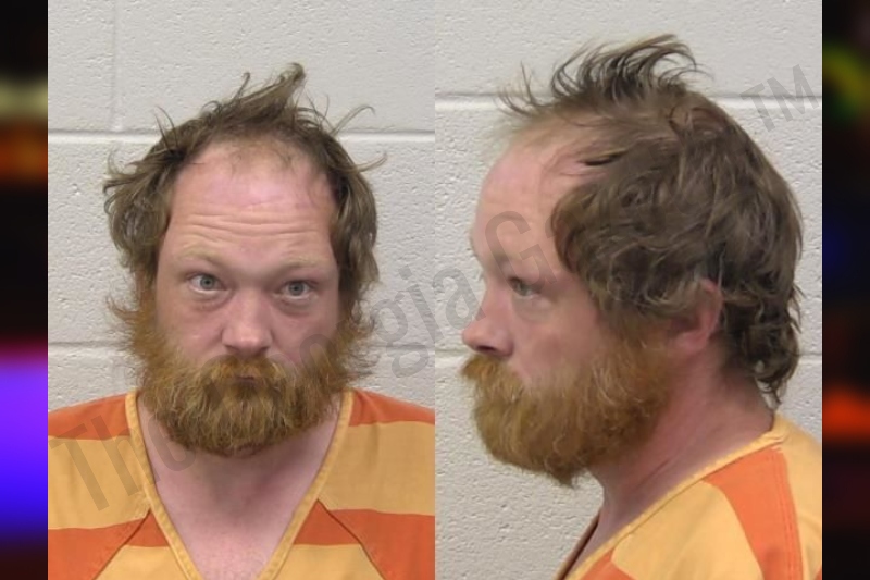 Michael Wigley — Paulding County Jail Bookings