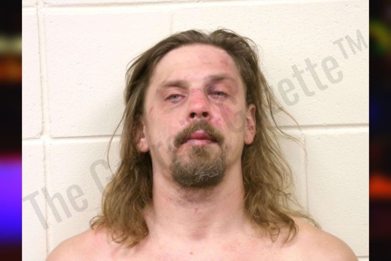 David Zipperer — Bulloch County Jail Bookings