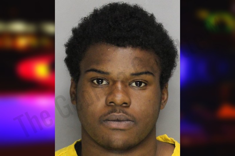 Cameron Beard — Cobb County Jail Bookings