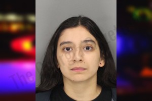 April Bobadilla — Cobb County Jail Bookings