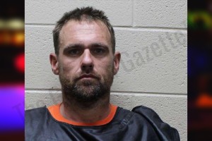 Donny Bailey — Haralson County Jail Bookings