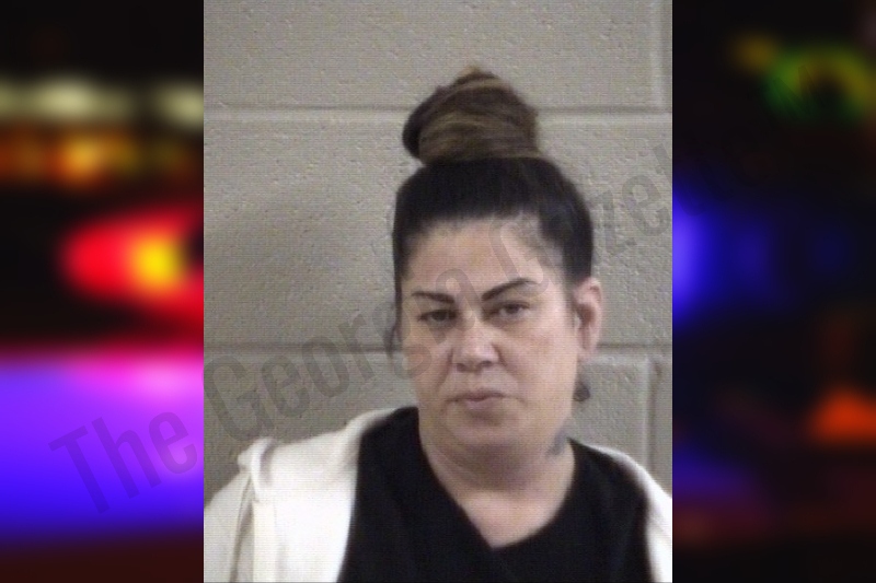 Sally Bryan — Whitfield County Jail Bookings