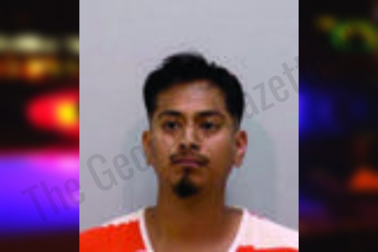 Joel Cortez — Bartow County Jail Bookings