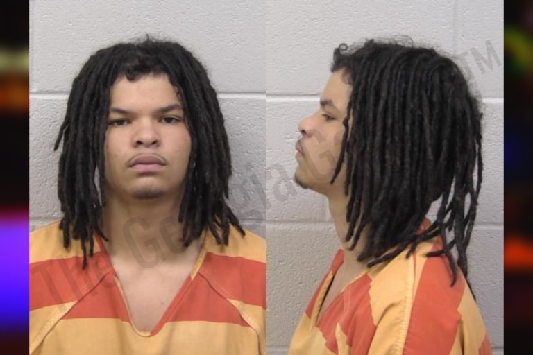 Jason Cameron — Paulding County Jail Bookings