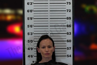 Jessica Carver — Hart County Jail Bookings