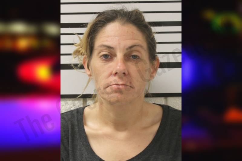Mary Cribbs — Toombs County Jail Bookings
