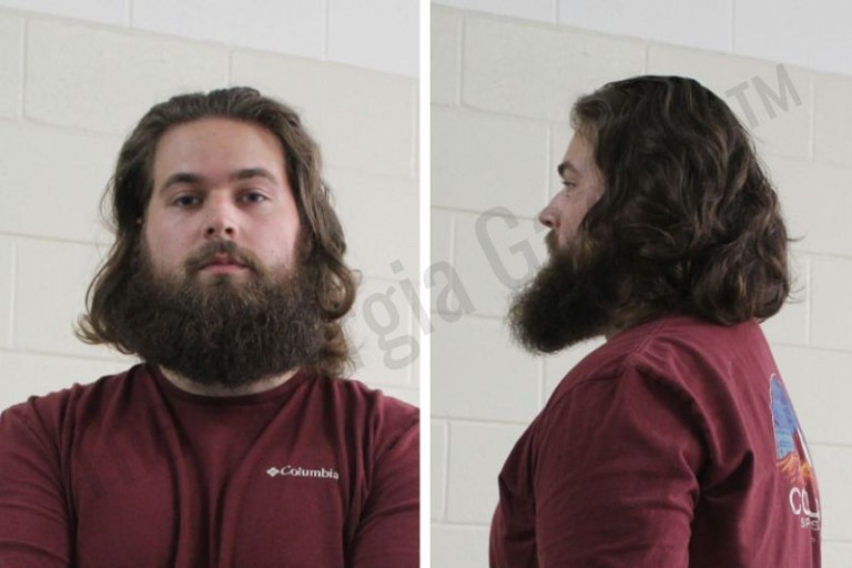 Thomas Davison — Houston County Jail Bookings