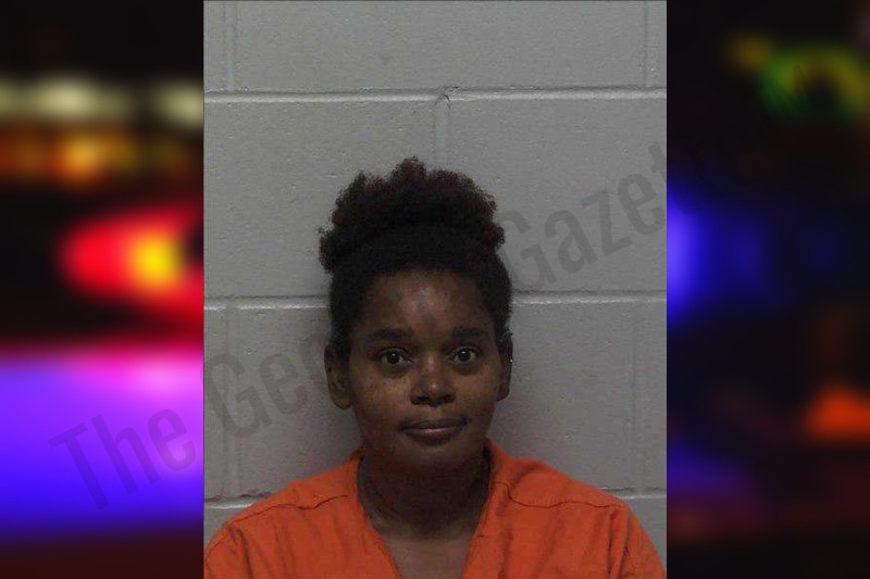 Tammie Ford — Laurens County Jail Bookings