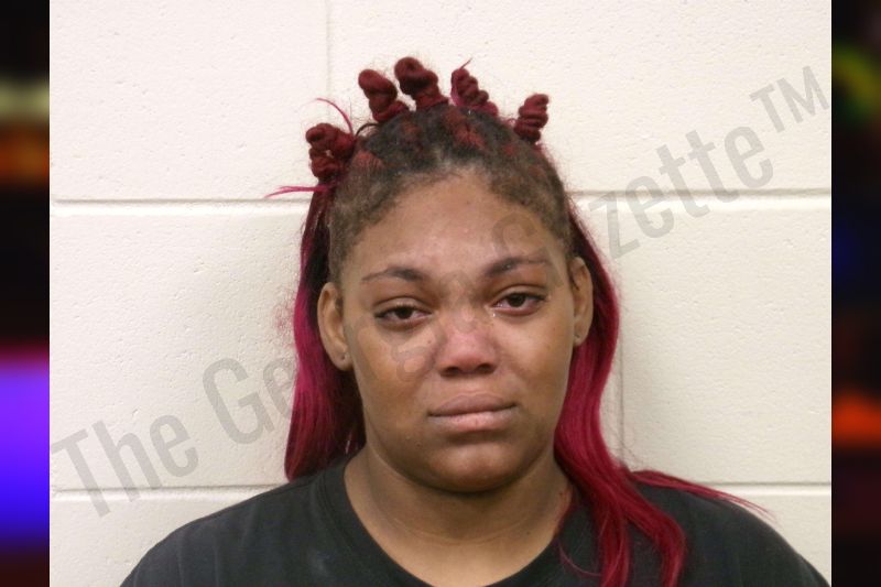 Nakia Fowler — Bulloch County Jail Bookings