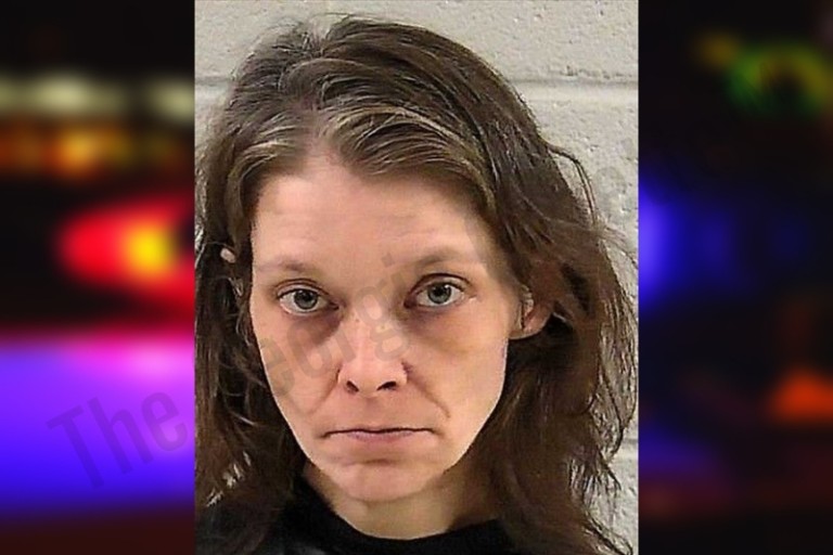 Elizabeth Goodwin — Elbert County Jail Bookings