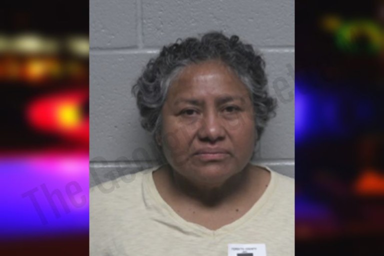 Isabel Gonzalez — Forsyth County Jail Bookings