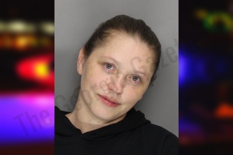 Bobi Haley — Cobb County Jail Bookings