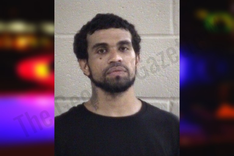 Whitfield County Jail Bookings – Page 4 – The Georgia Gazette
