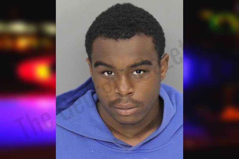 Zacchaeus Johnson — Cobb County Jail Bookings