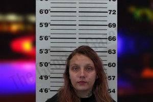 Kristina Johnson — Hart County