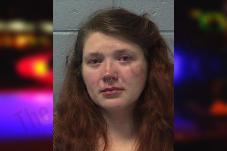 Ware County Jail Bookings – Page 3 – The Georgia Gazette