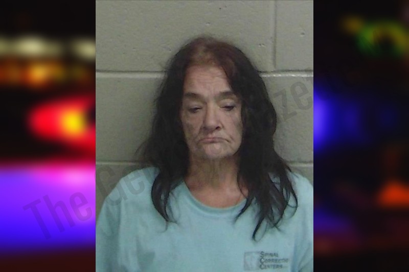 Laura Koch — Wayne County Jail Bookings