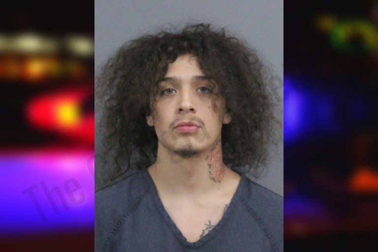 Catoosa County Jail Bookings – Page 2 – The Georgia Gazette