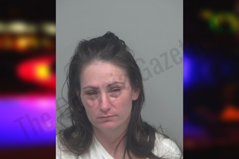 Stephanie Leach — Gwinnett County Jail Bookings