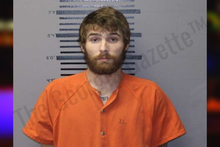 Wesley Lewis — Thomas County Jail Bookings