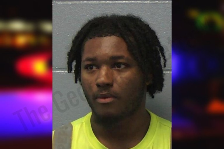 Ware County Jail Bookings – Page 2 – The Georgia Gazette