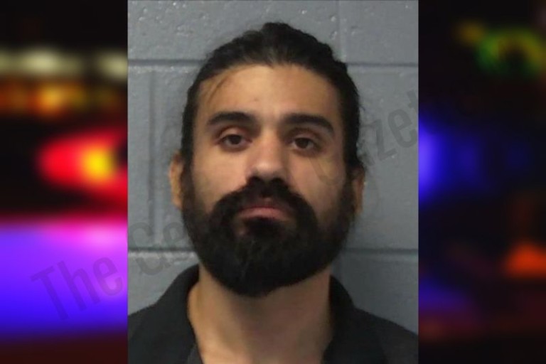 Ware County Jail Bookings – Page 3 – The Georgia Gazette