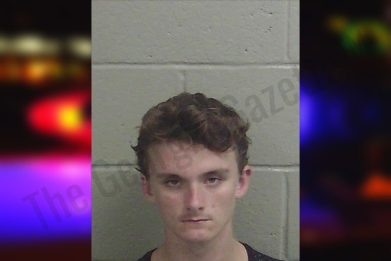 Timothy Merritt — Wayne County