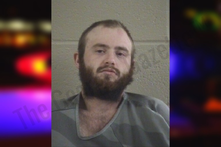 Whitfield County Jail Bookings – Page 2 – The Georgia Gazette