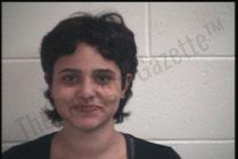 Tania Paredes — Henry County Jail Bookings