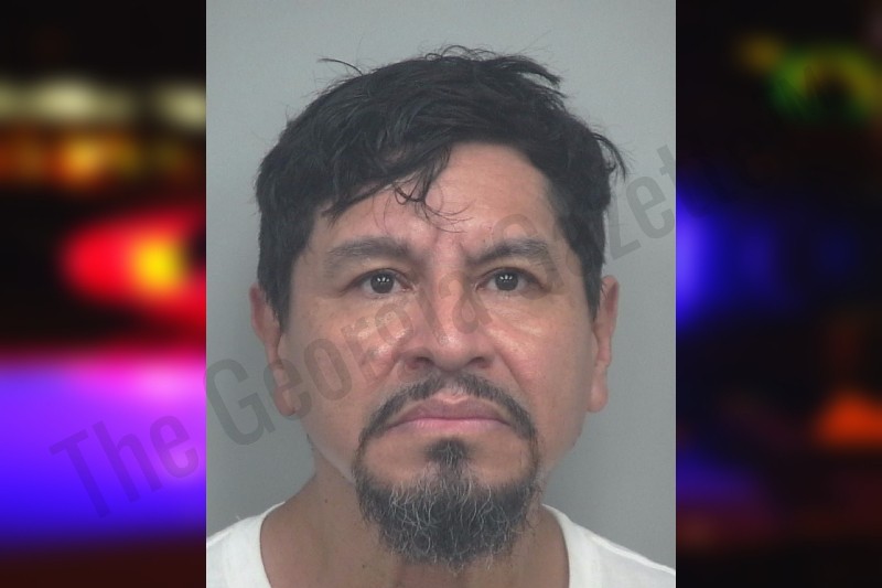 Hector Pineda-Gonzalez — Gwinnett County Jail Bookings