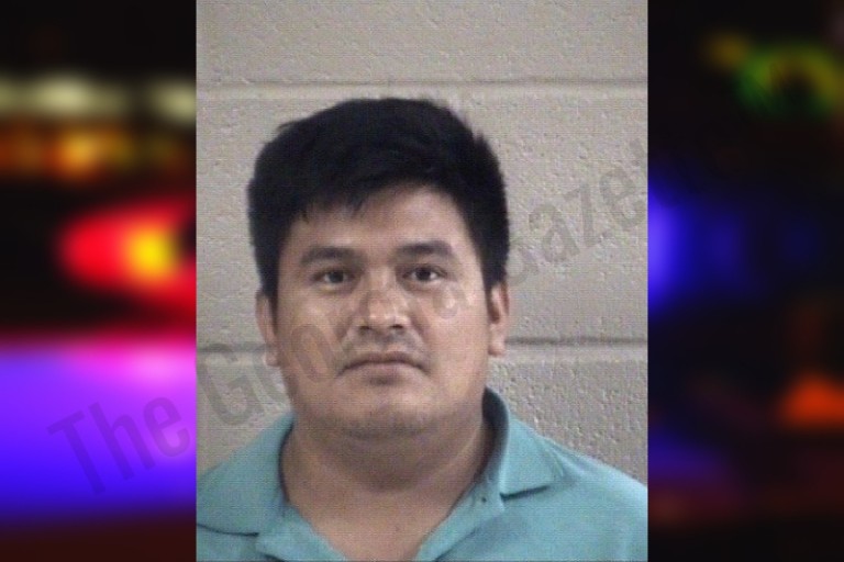 Telesforo Ramirez-Vasquez — Whitfield County Jail Bookings
