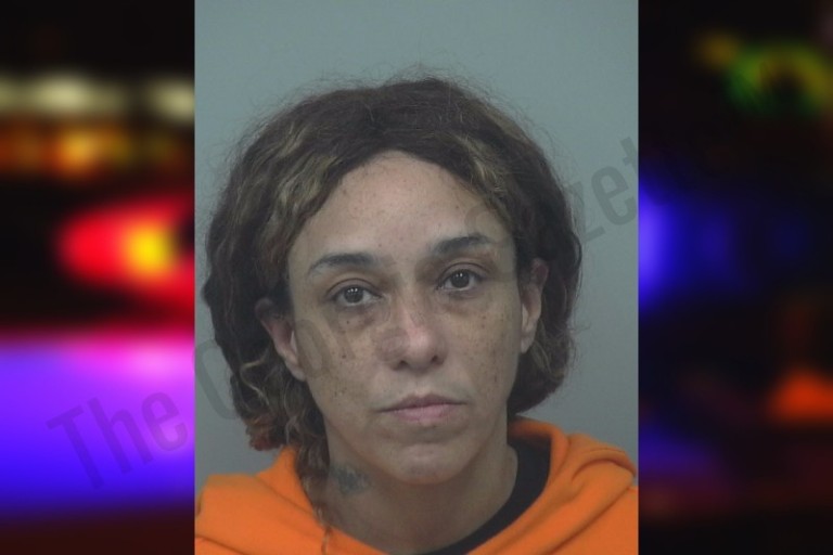 Jessica Rivera — Gwinnett County Jail Bookings