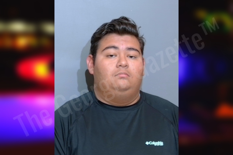 Luis Salas — Glynn County Jail Bookings