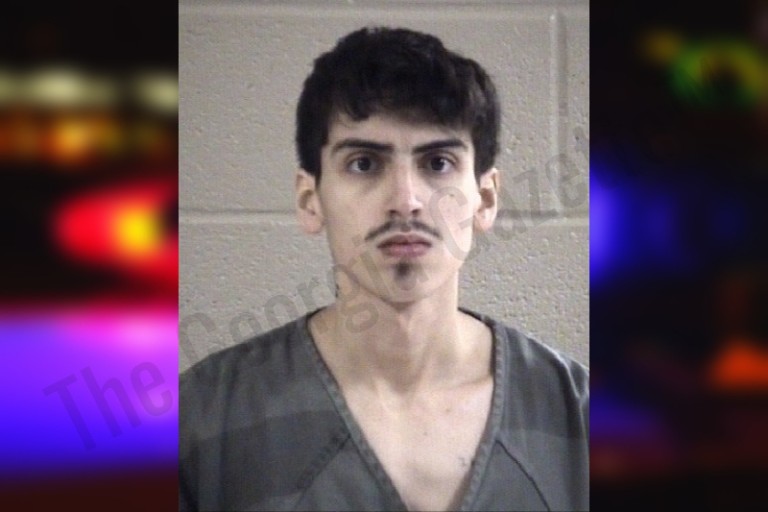 Whitfield County Jail Bookings – Page 9 – The Georgia Gazette