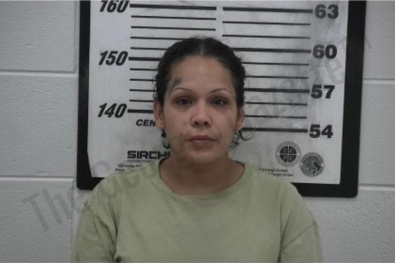Maria Sanchez — Coffee County Jail Bookings