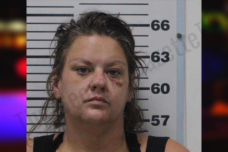 Colquitt County Jail Bookings – The Georgia Gazette