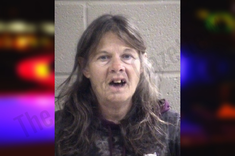 Sherry Snelling — Whitfield County Jail Bookings