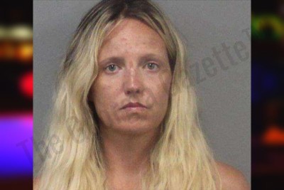 Stacy Staton — White County Jail Bookings